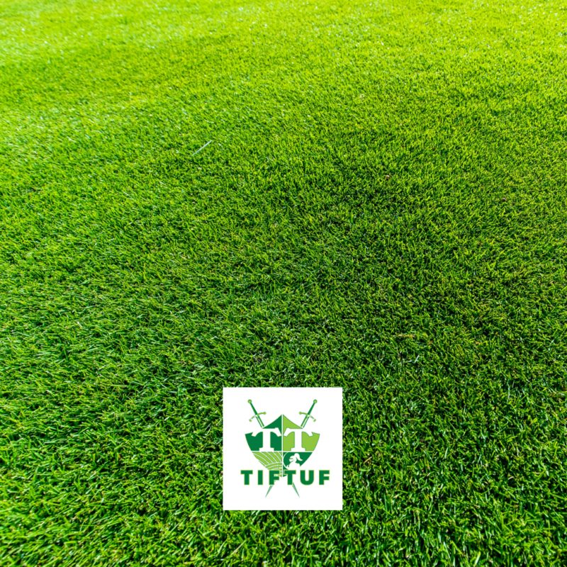 Tiftuf Bermuda Turf Tile Lee Rowans Gardenworld
