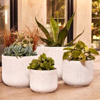 Lots of pots. : Ask The Experts : Lee Rowans Gardenworld