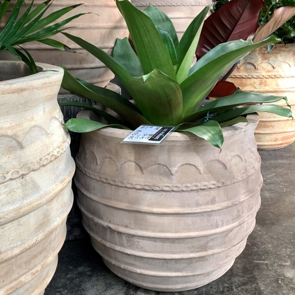 Lots of pots. : Ask The Experts : Lee Rowans Gardenworld