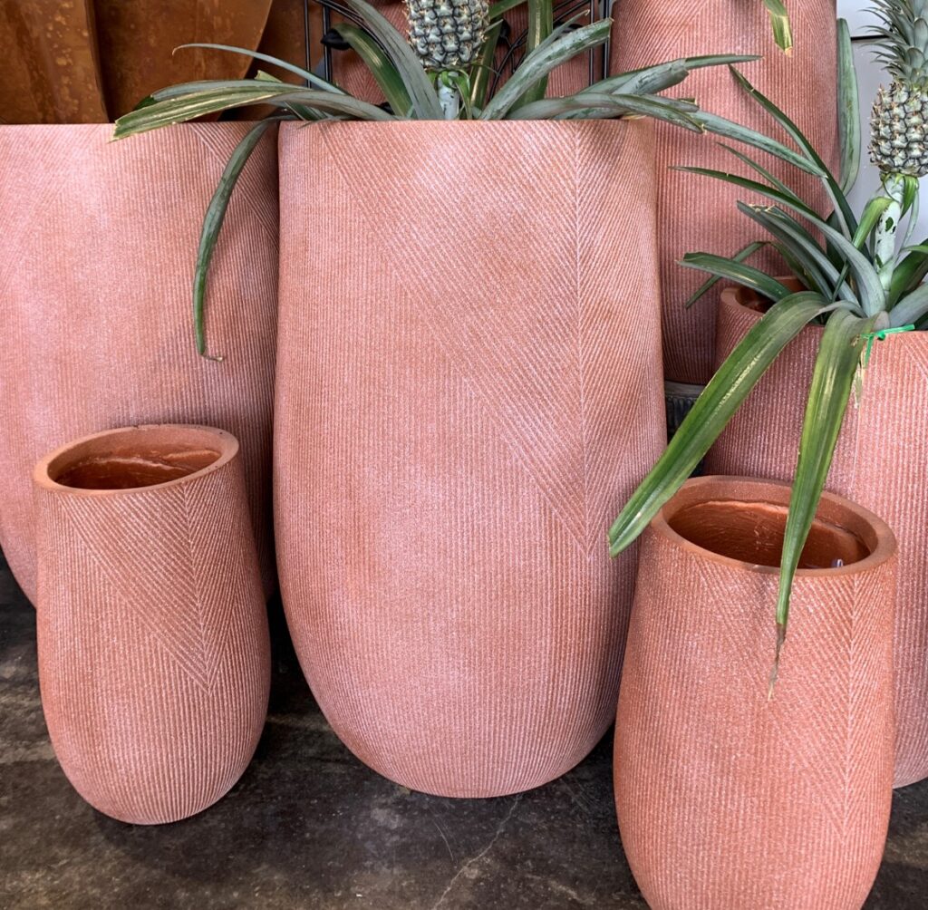 Lots of pots. : Ask The Experts : Lee Rowans Gardenworld