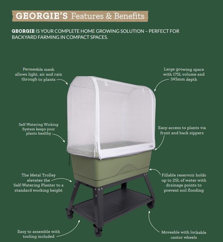 GEORGIE PLANTER KIT - GREY: Lee Rowans Gardenworld