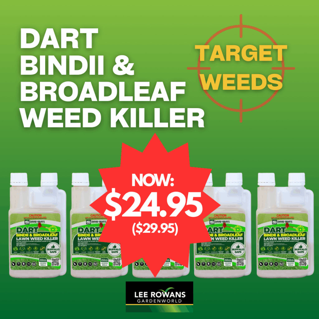 Specials : Lee Rowans Gardenworld